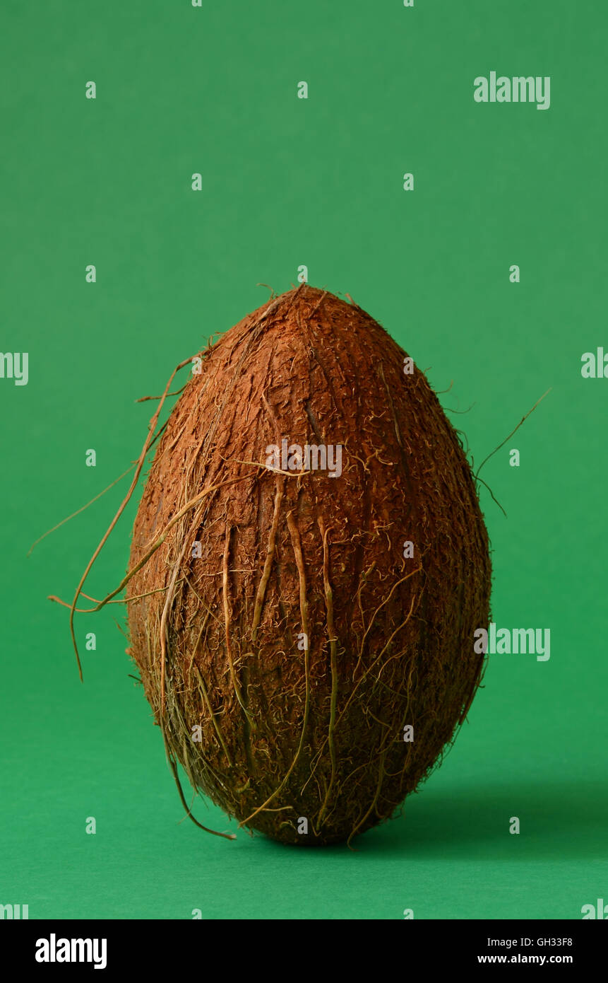 Single whole coconut on a green background Stock Photo - Alamy