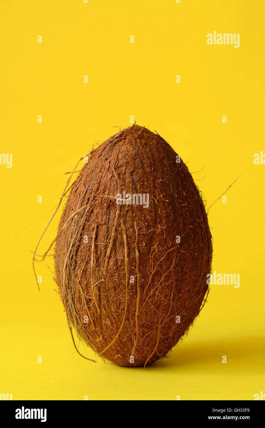Single whole coconut on a yellow background Stock Photo - Alamy