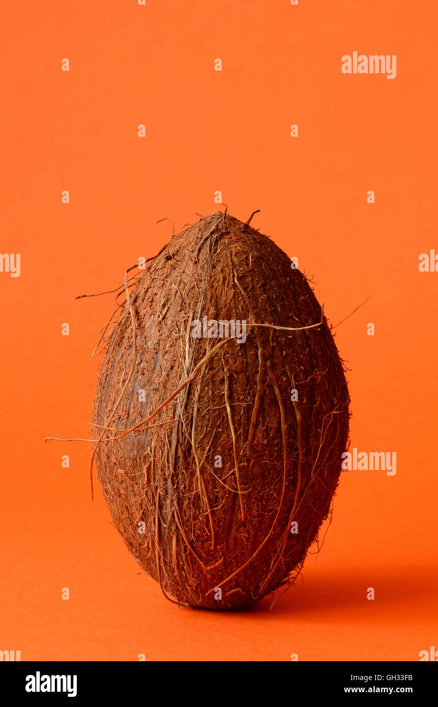 Single whole coconut on orange colored background Stock Photo - Alamy