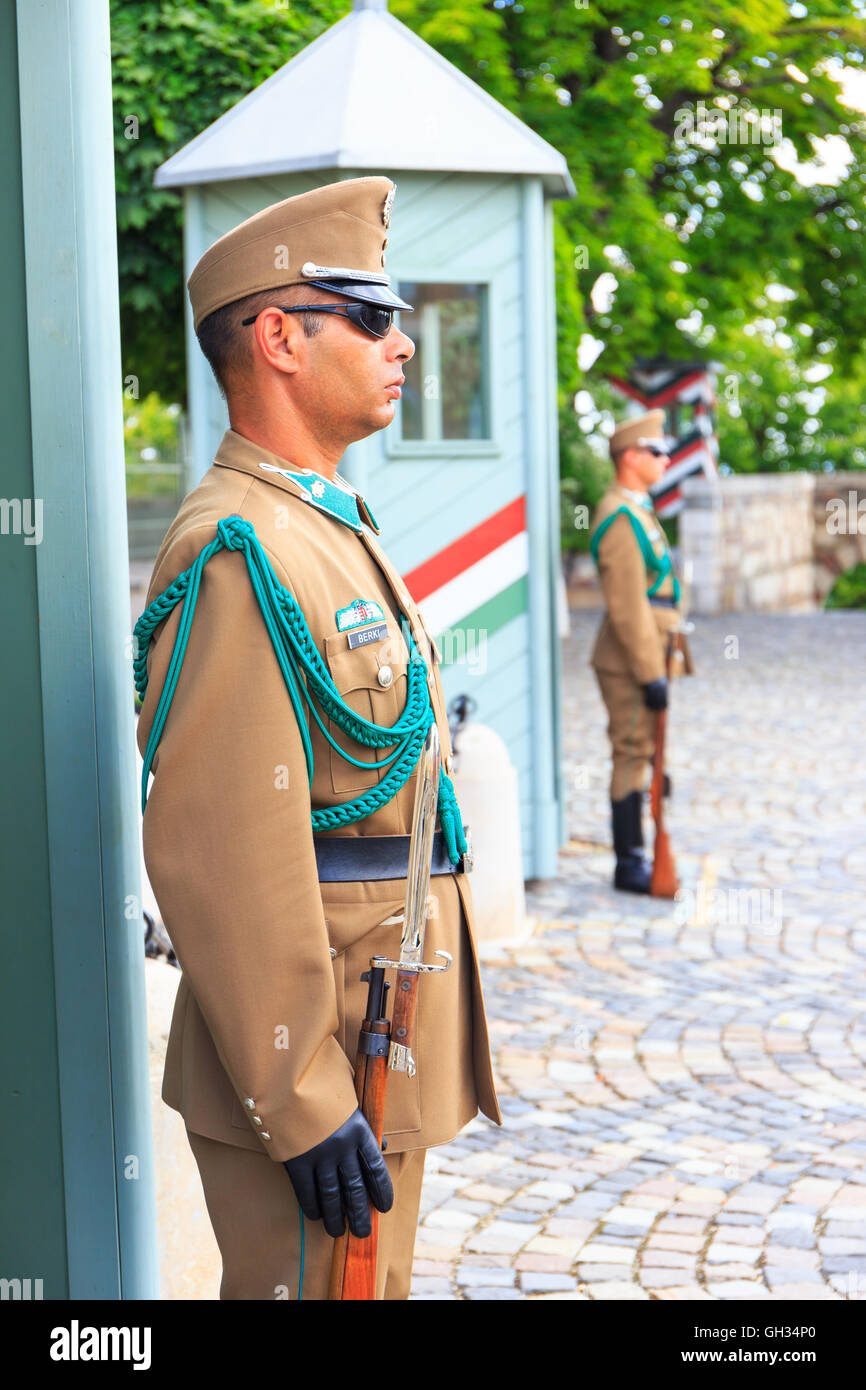 Ceremonial honor guardsman hi-res stock photography and images - Alamy