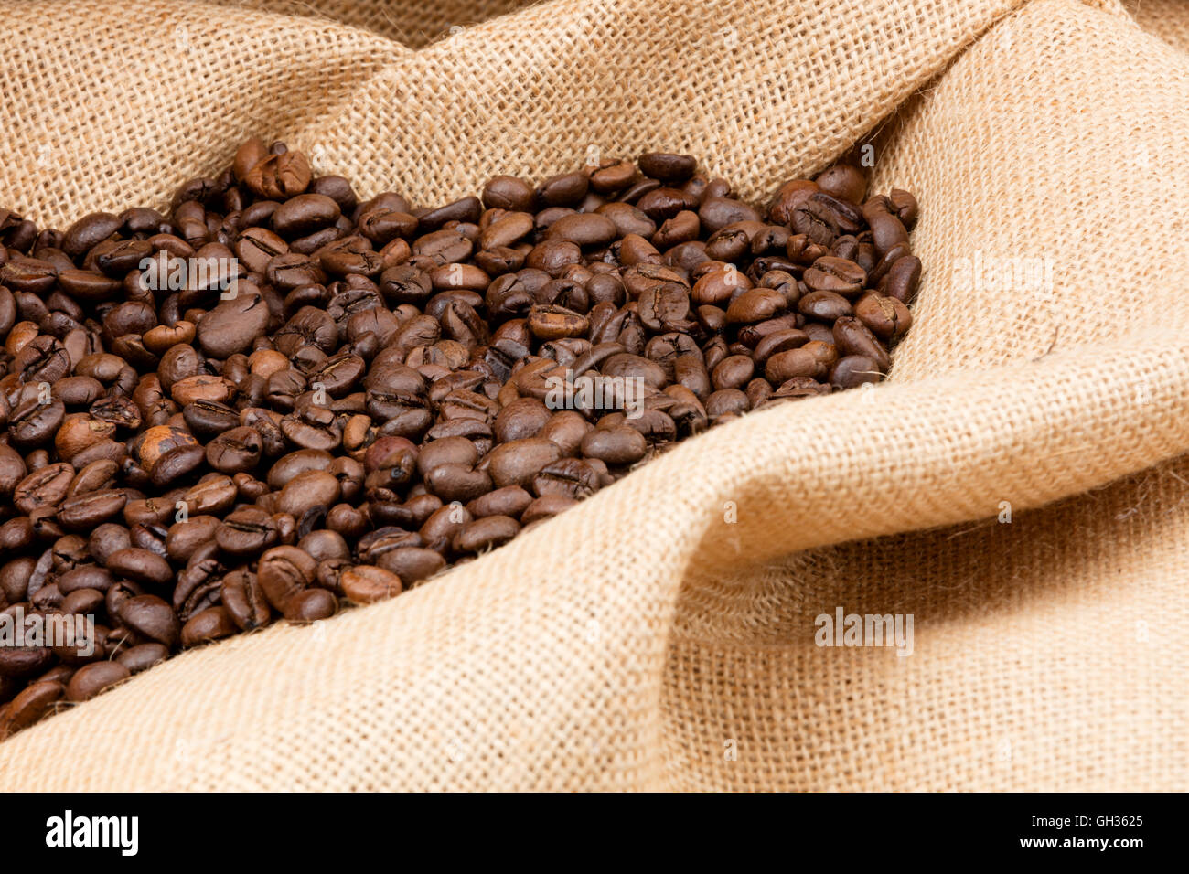 Beans harvest hi-res stock photography and images - Alamy