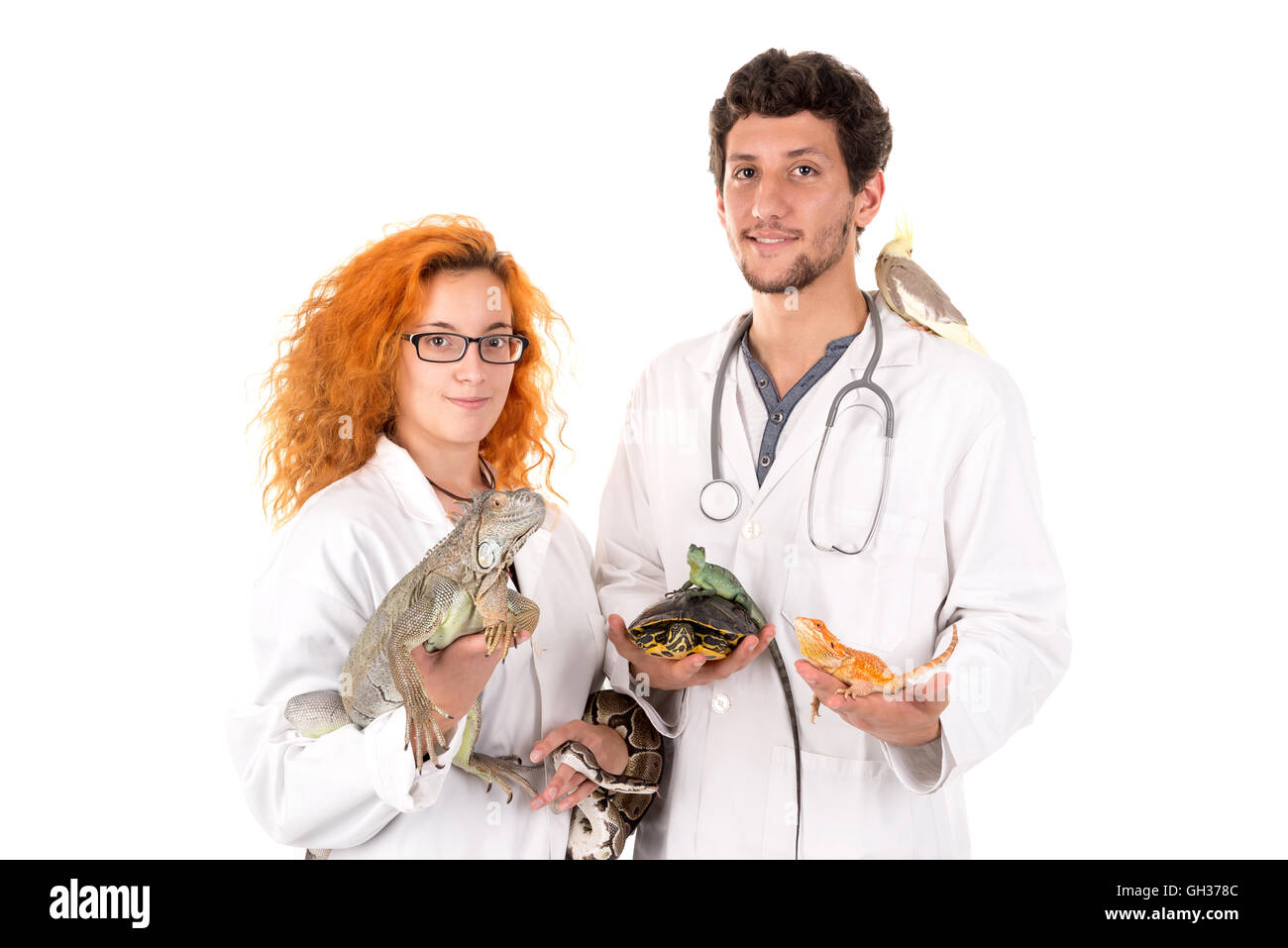 Veterinarian team with several animals isolated in white Stock Photo ...