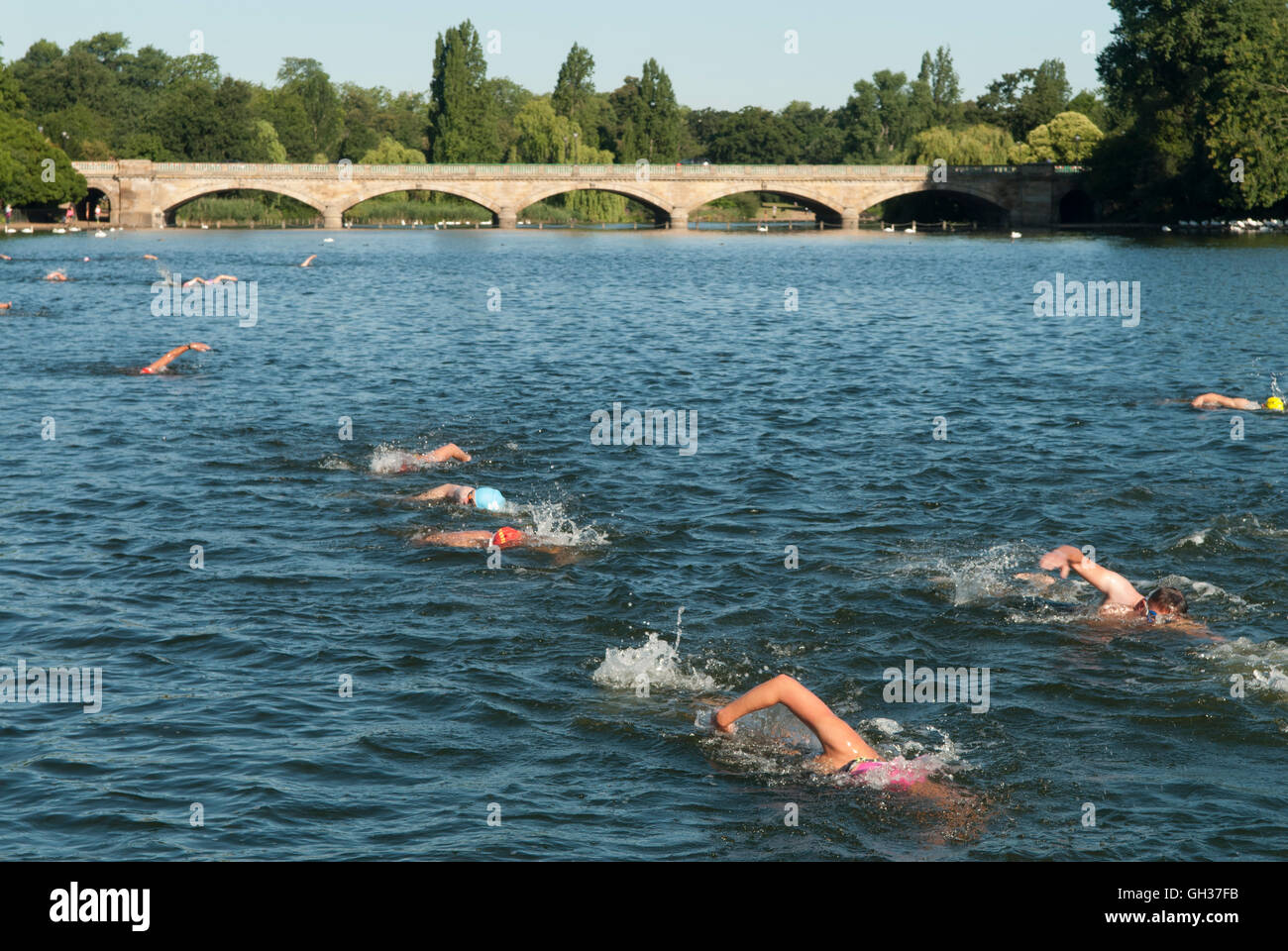Serpentine lldo hi-res stock photography and images - Alamy