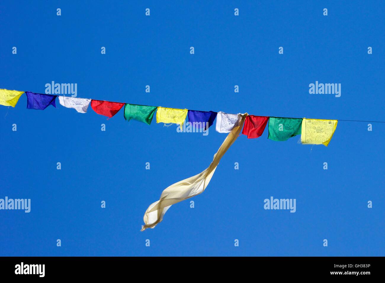 Prayer Flags Vector