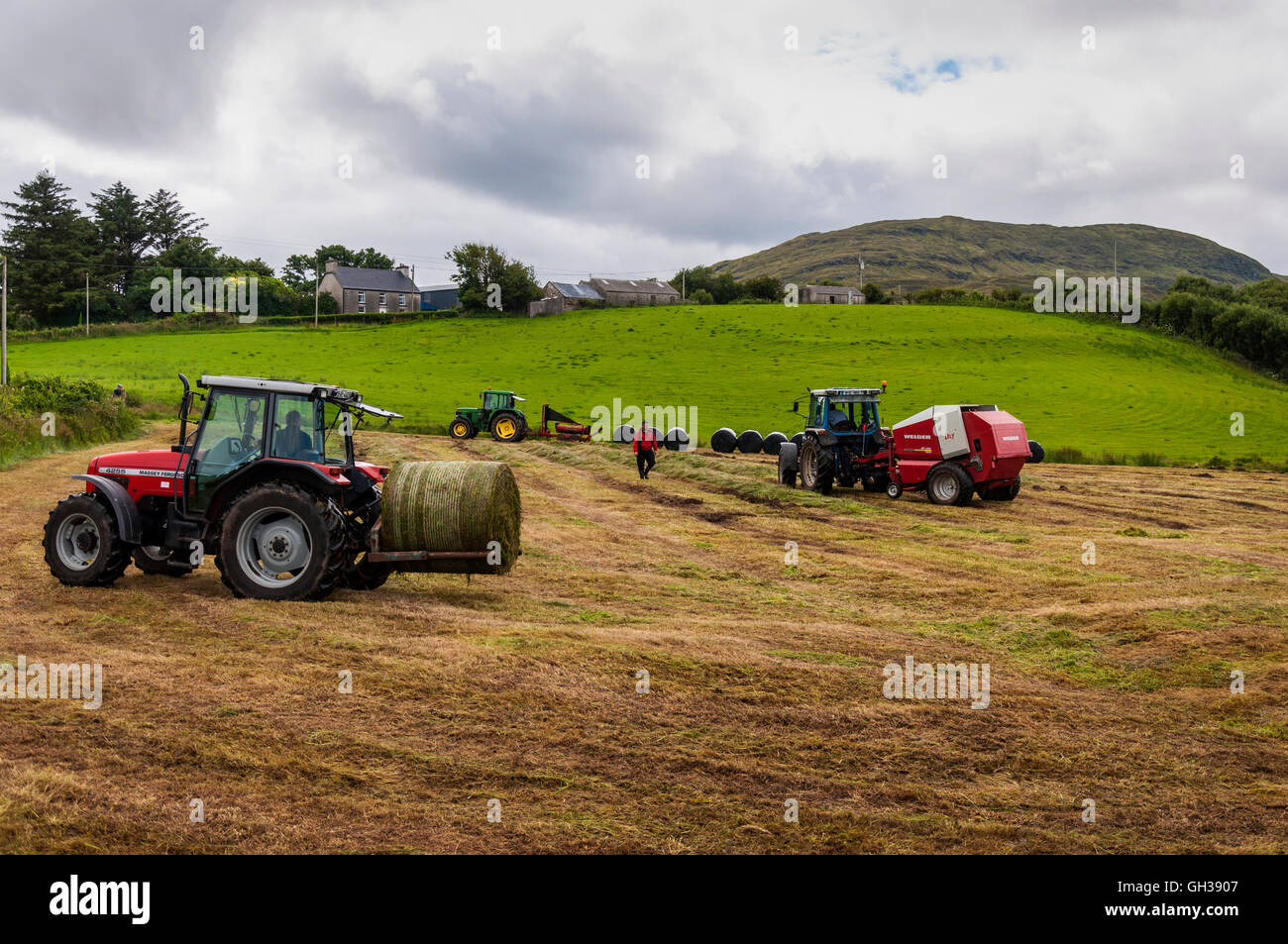 Farmers collecting grass for silage animal feed in Ardara, County ...