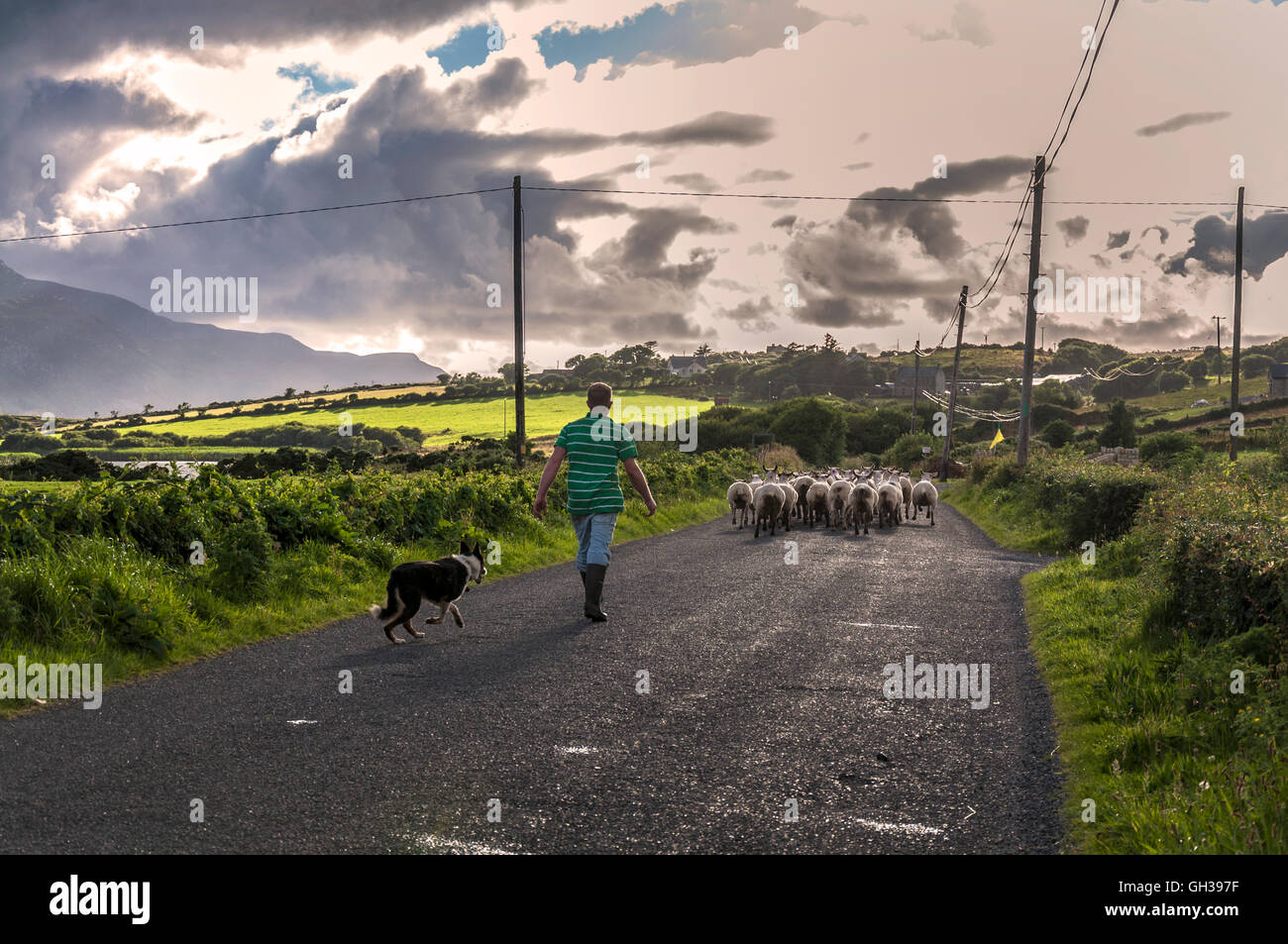 Donegal farmer hi-res stock photography and images - Alamy