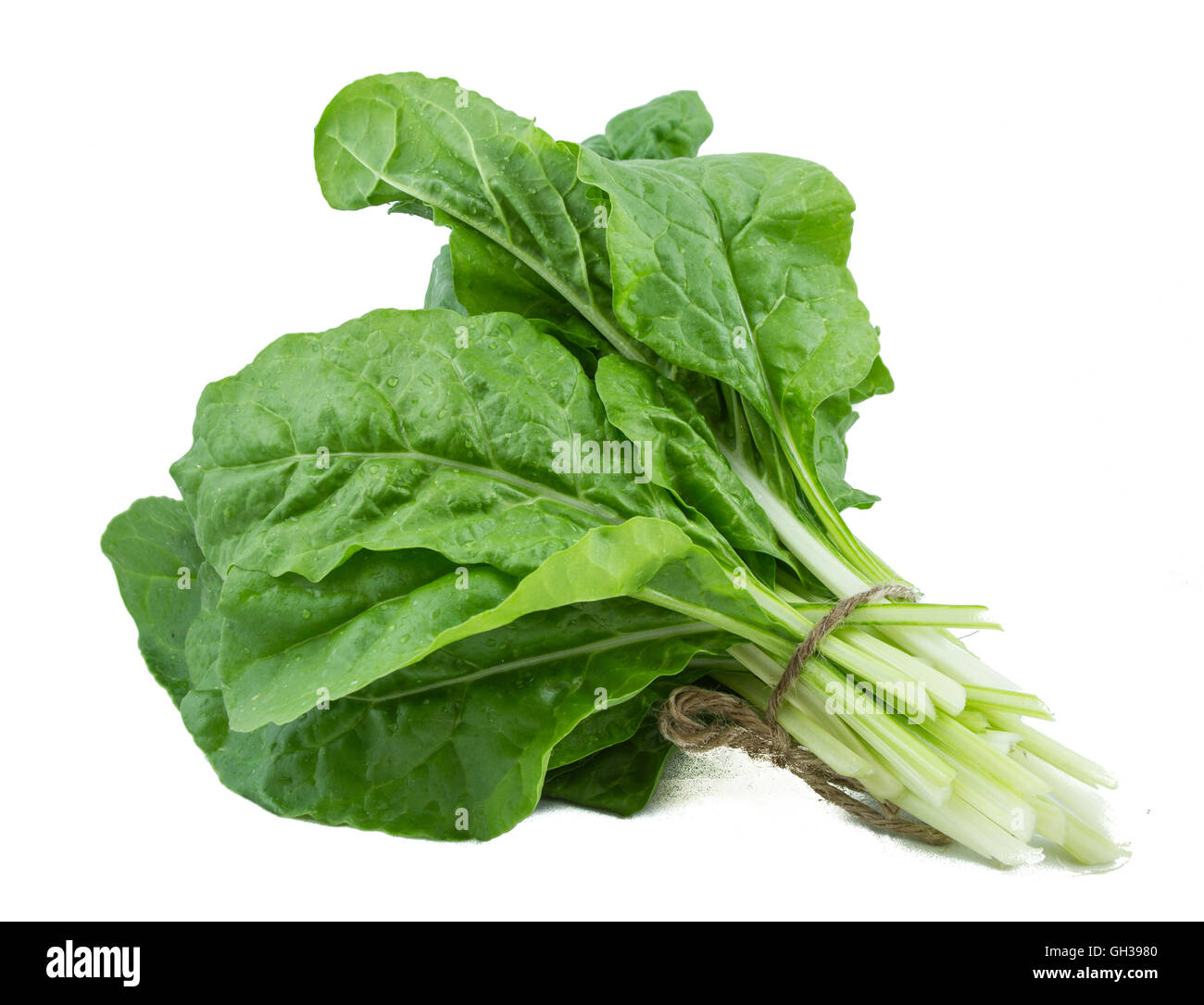 Fresh Swiss chard with clipping path isolated on a white background ...