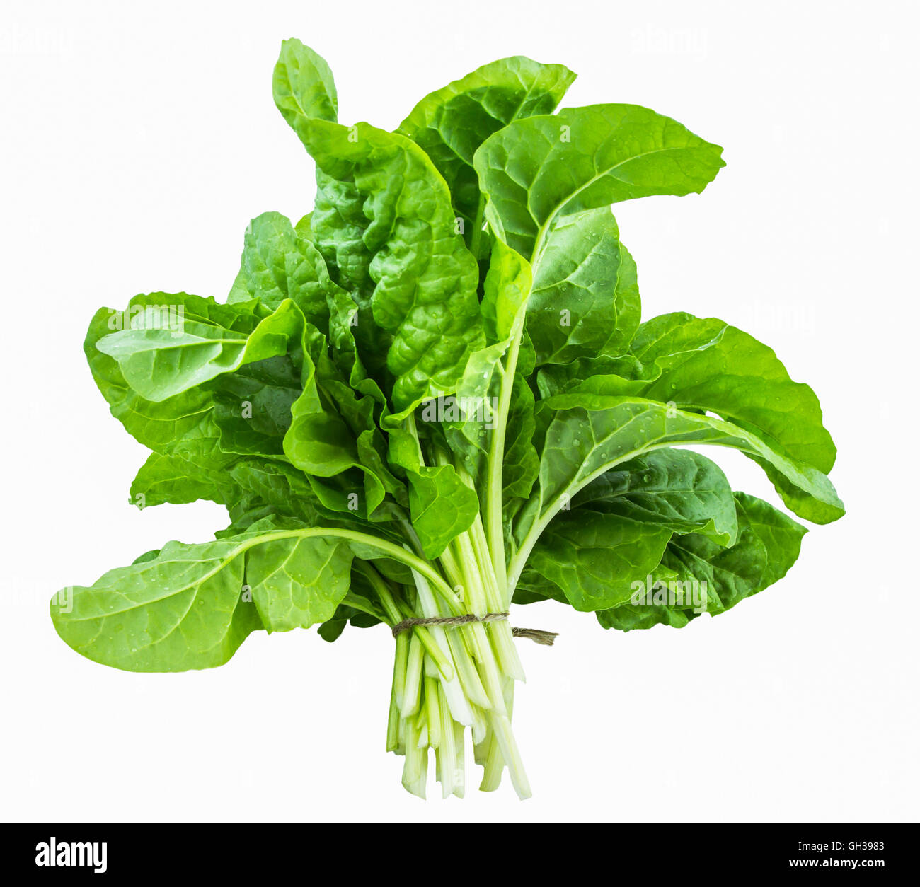 Fresh Swiss chard with clipping path isolated on a white background ...