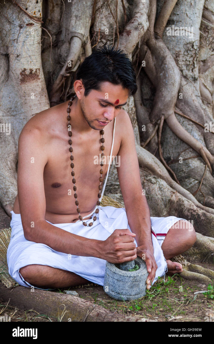 A young Indian doctor preparing traditional ayurvedic, herbal medicine ...