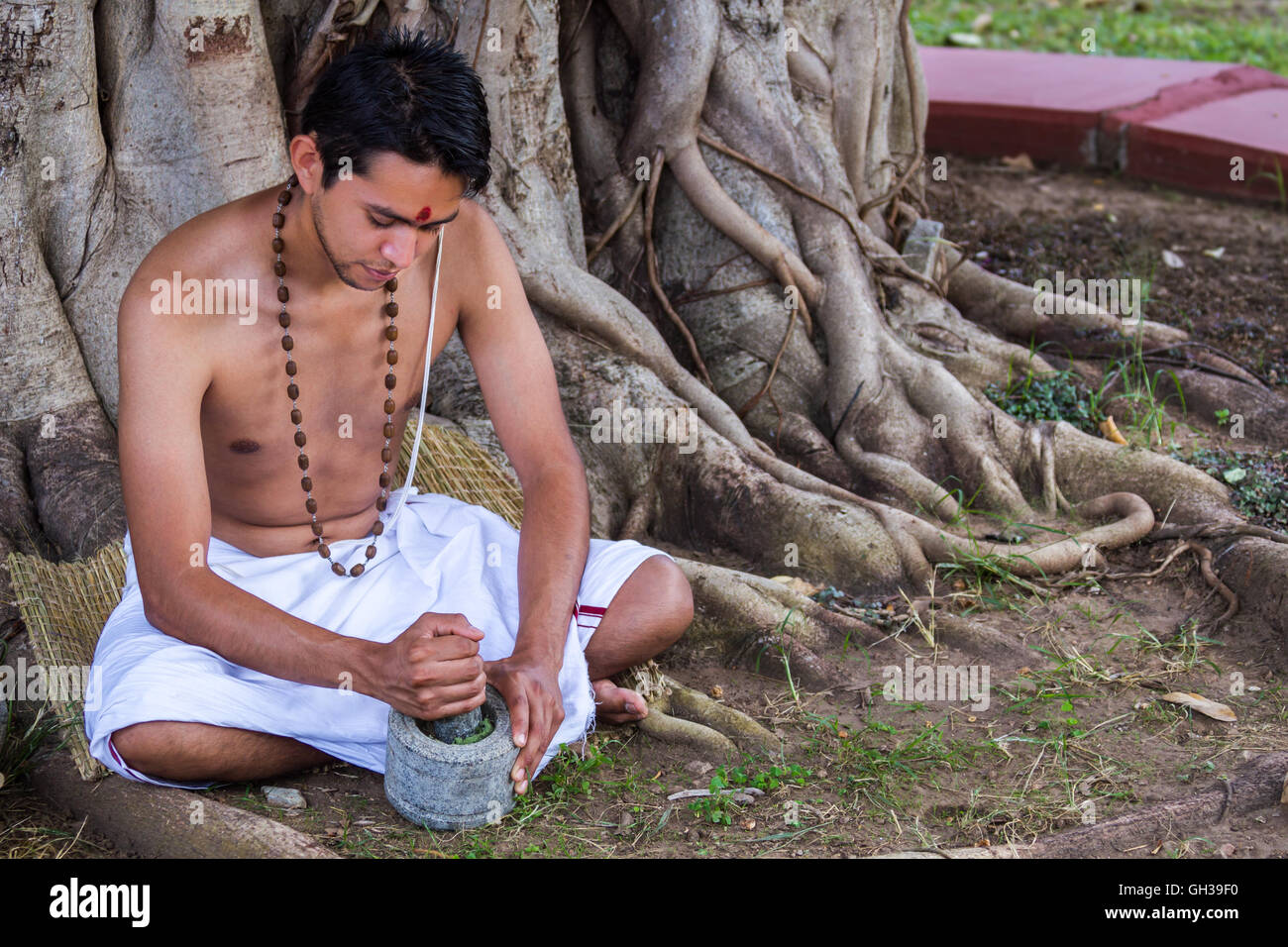 A young Indian doctor preparing traditional ayurvedic, herbal medicine ...
