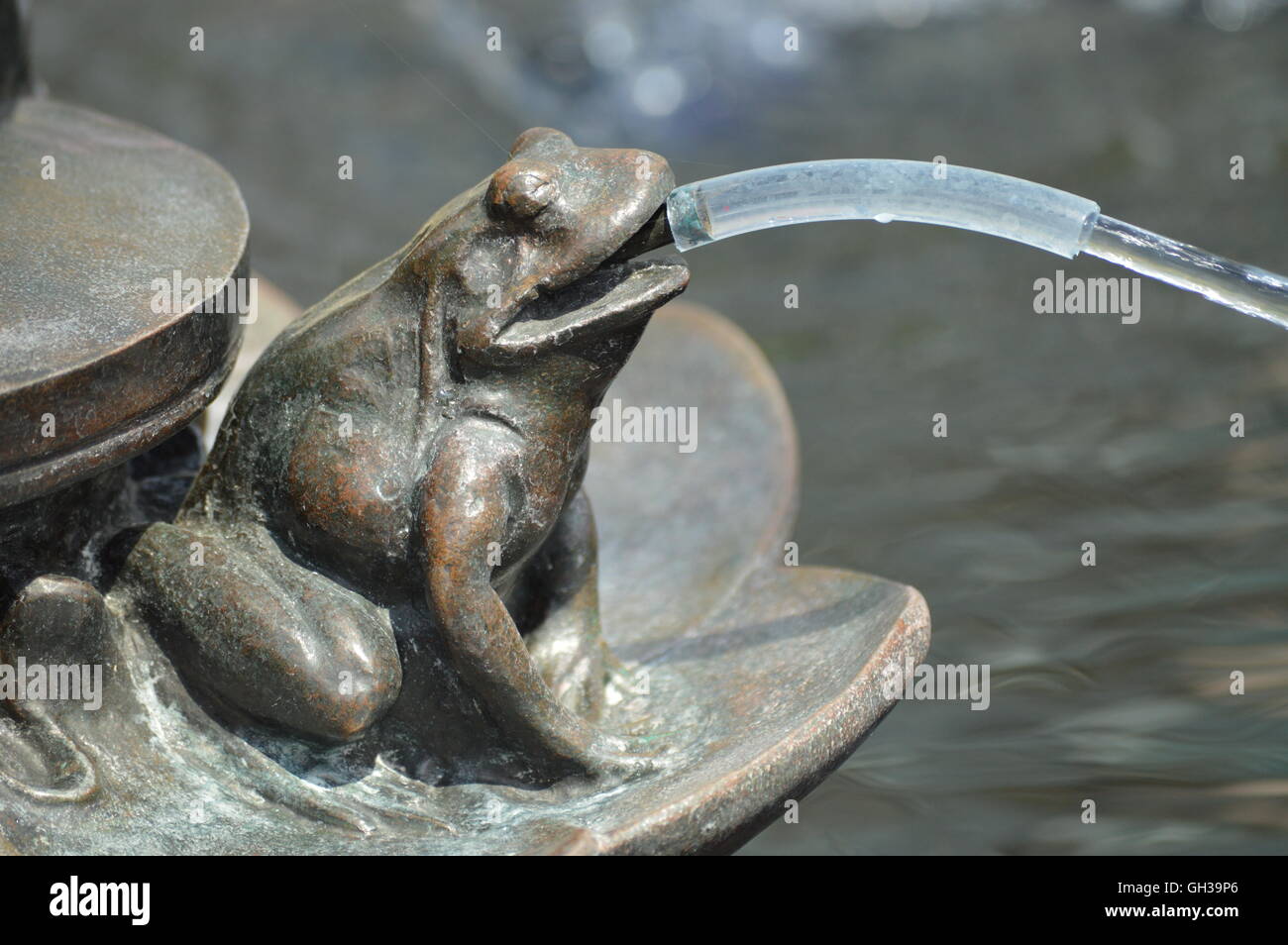 Frog statue hi-res stock photography and images - Alamy