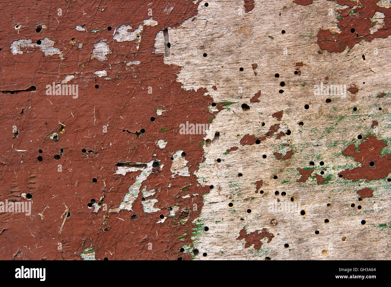 Wood texture with painting color peeled off. Flaking paint - wood ...