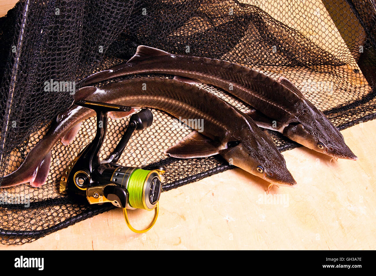 Black fishing net hi-res stock photography and images - Alamy