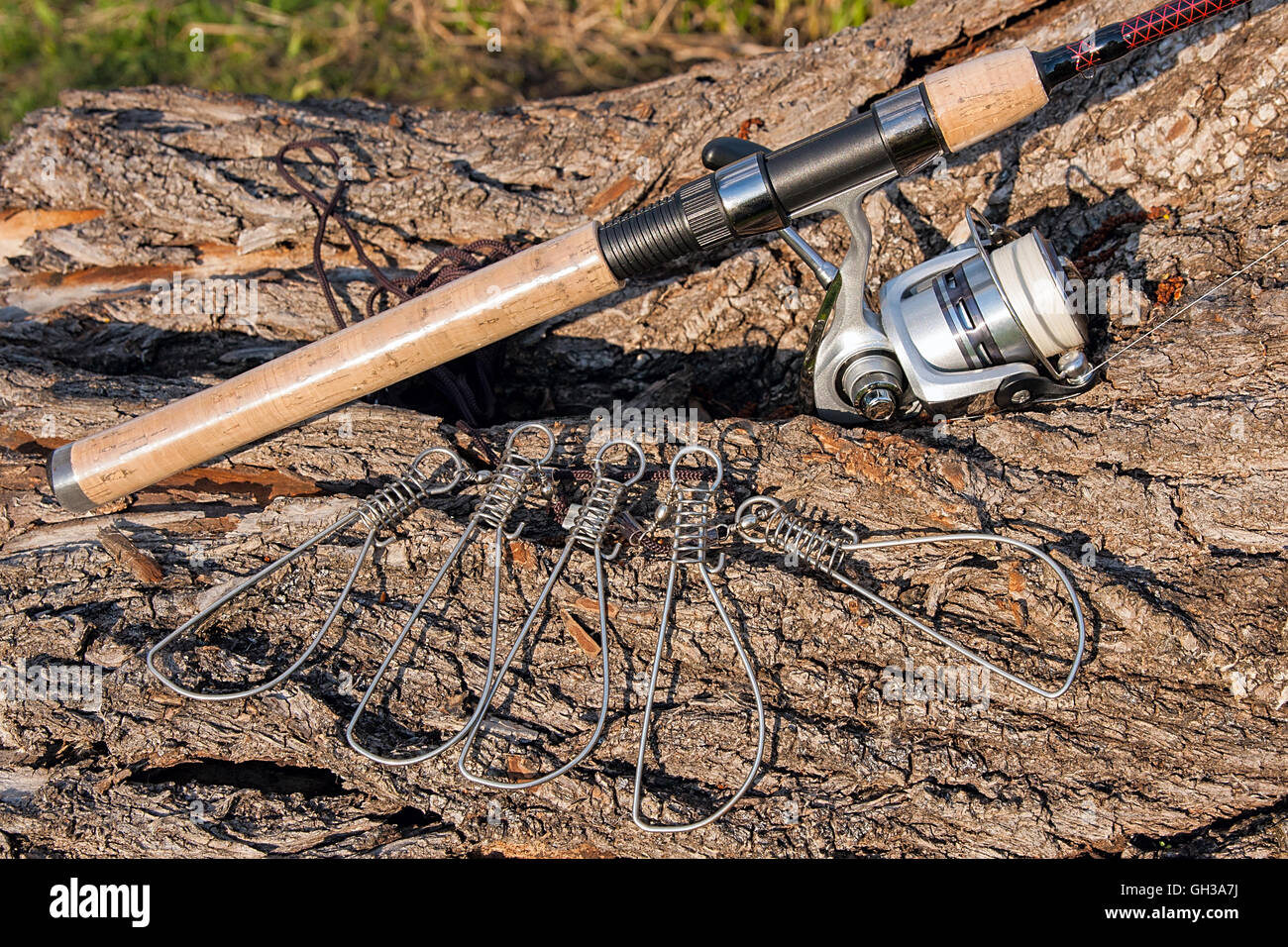 Fishing rod with fishing reel on the natural background. Spinning and ...