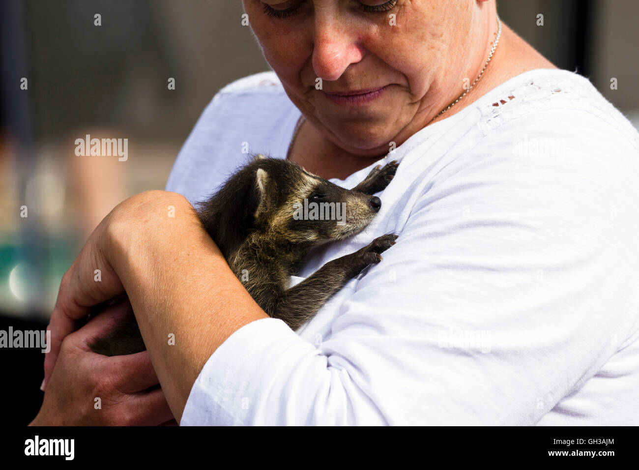 Old baby hands touching hi-res stock photography and images - Alamy