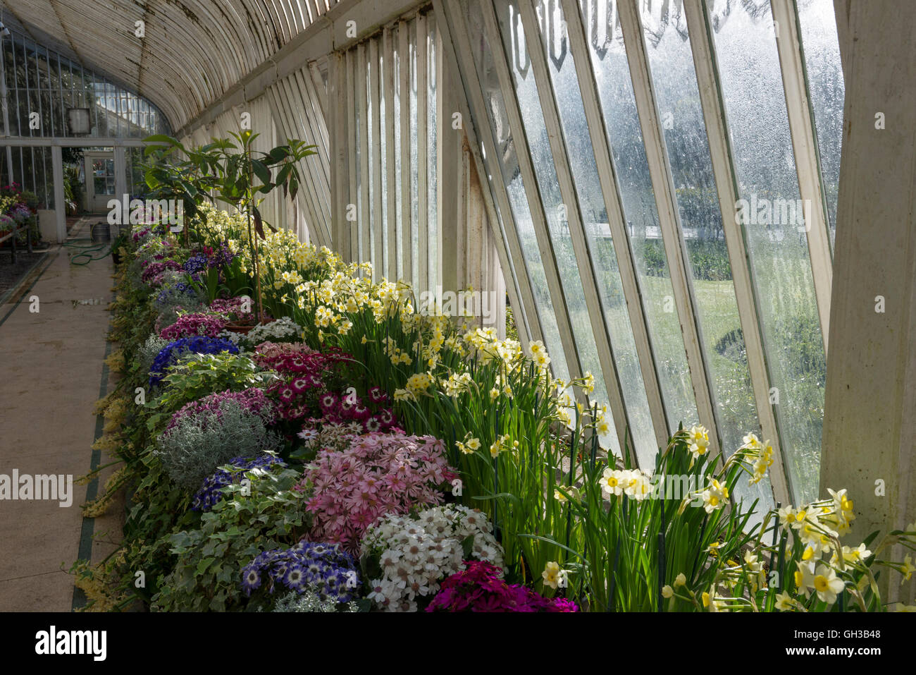 The Belfast Botanic Gardens in the Queens Quarter, Belfast Stock Photo ...