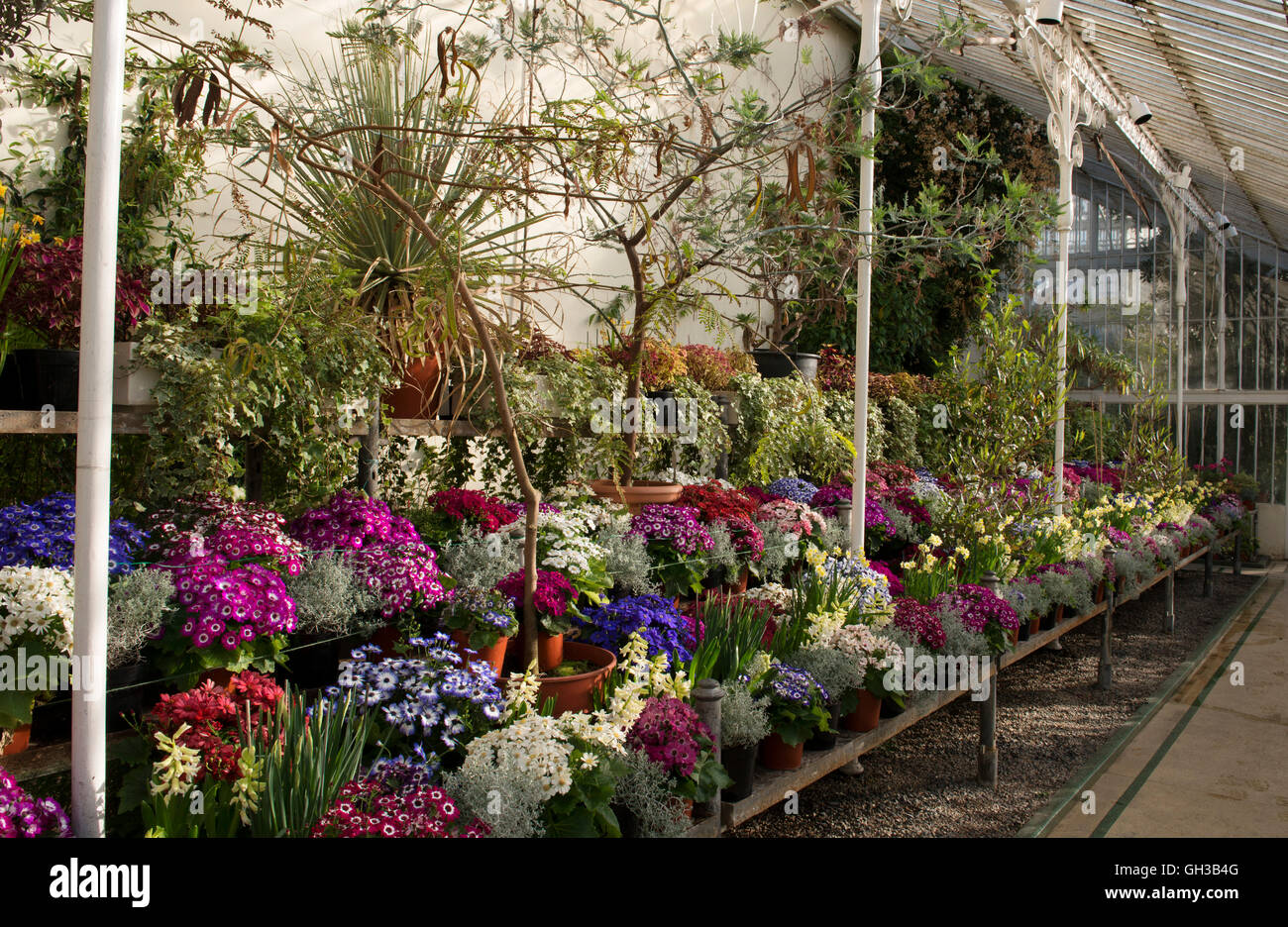 The Belfast Botanic Gardens in the Queens Quarter, Belfast Stock Photo ...