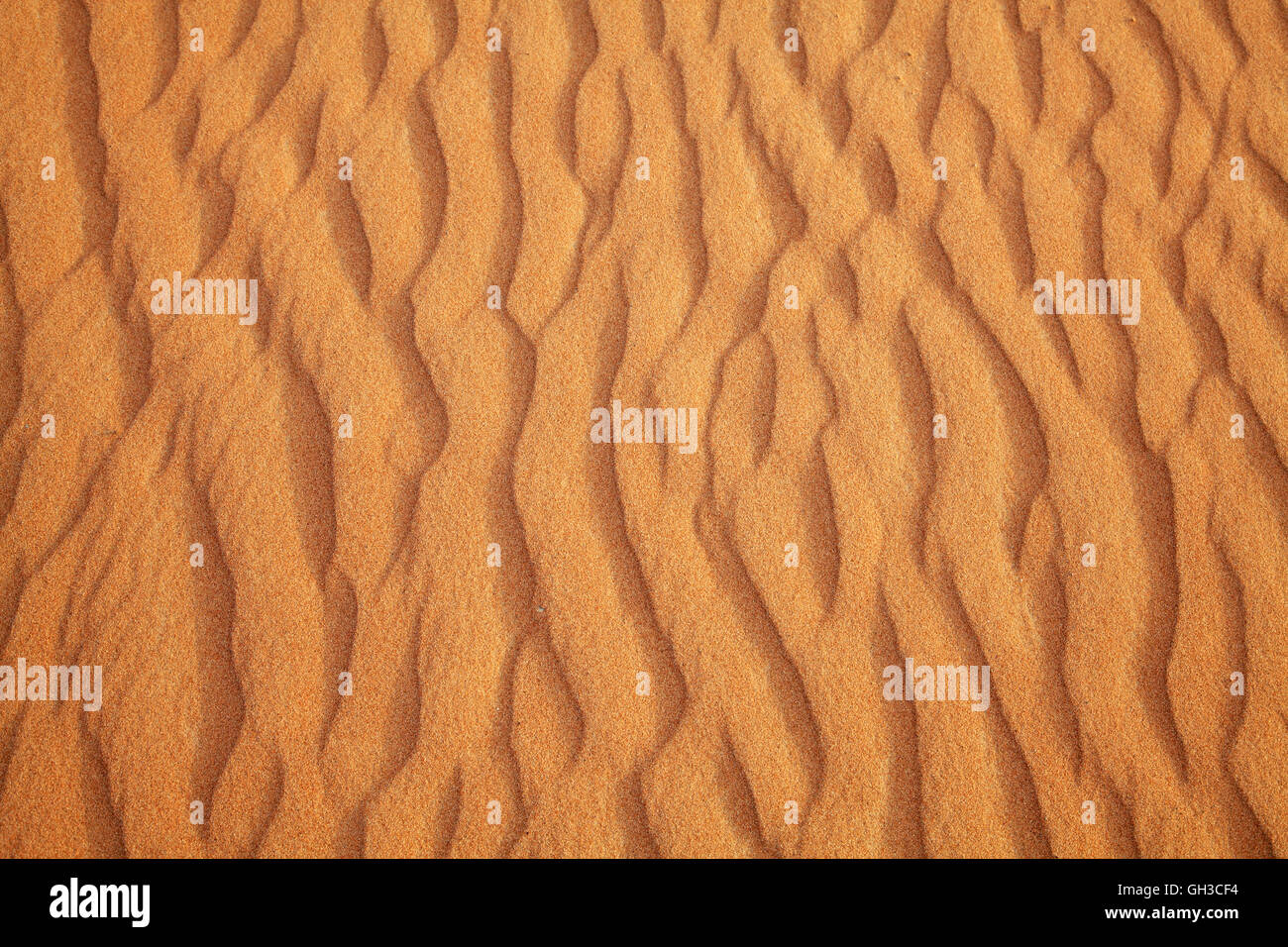 Red sand "Arabian desert" near Dubai, United Arab Emirates Stock Photo ...