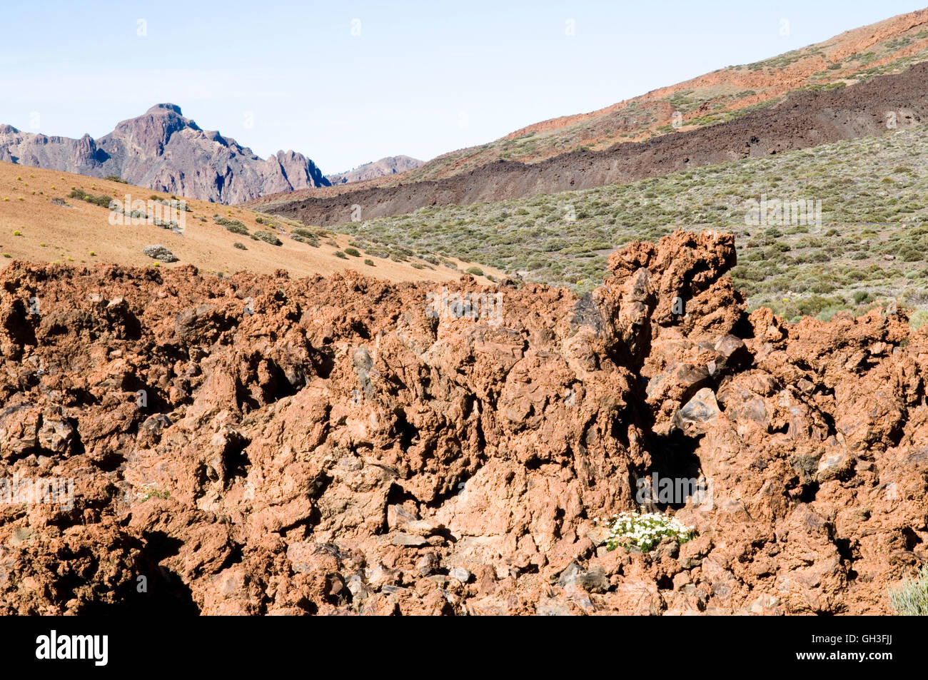Tiede Stock Photos & Tiede Stock Images - Alamy