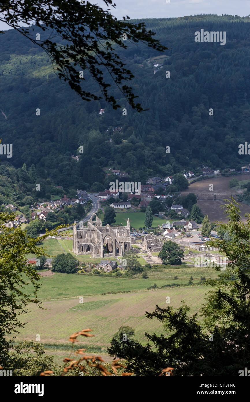 Tintern Abbey from the Devils Pulpit on the River Wye Monmouthshire UK ...