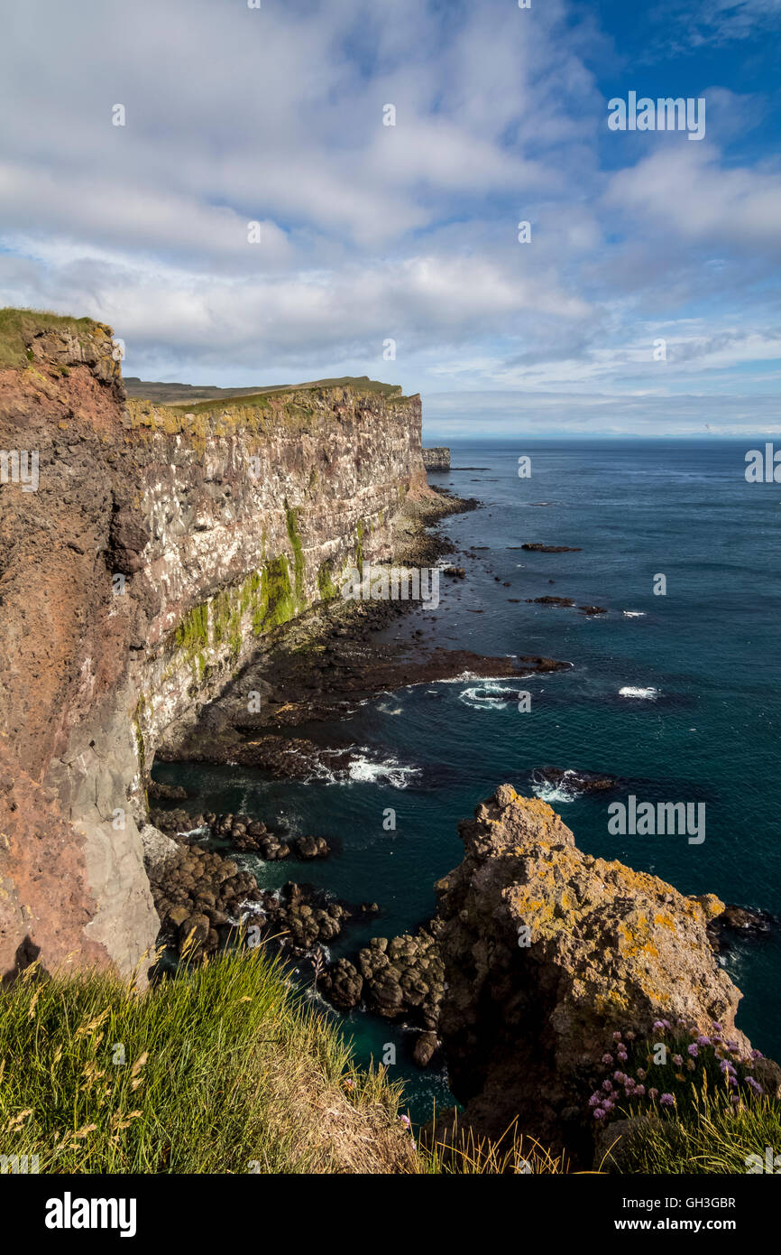 Látrabjarg cliffs, Iceland Stock Photo - Alamy