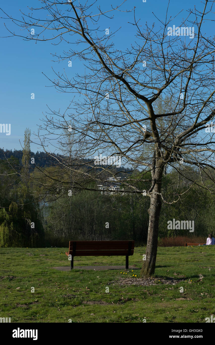 Lonely park bench and sunny sky Stock Photo - Alamy