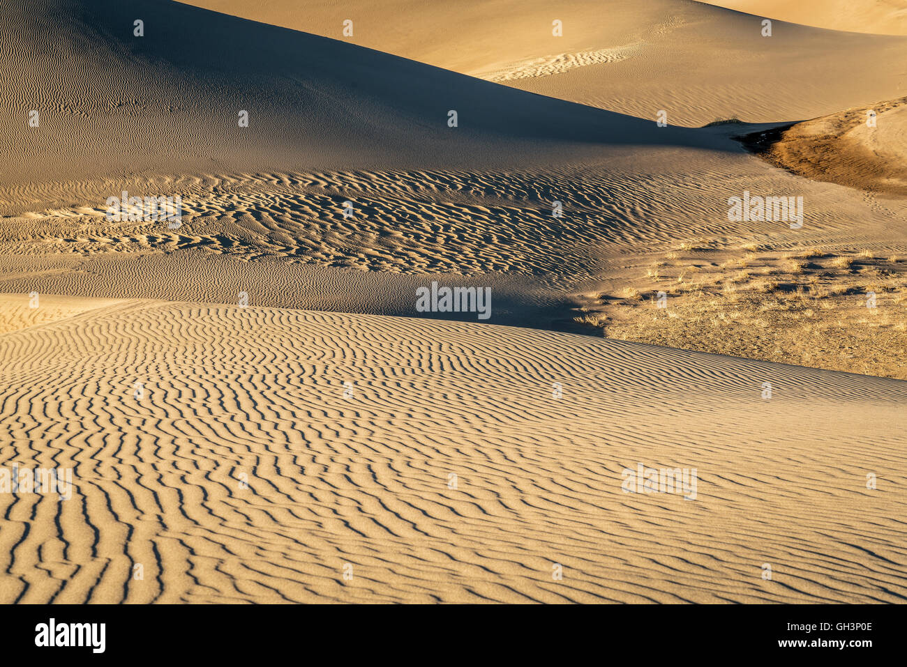 sand dunes patterns and texture at sunset - Great Sand Dunes National ...
