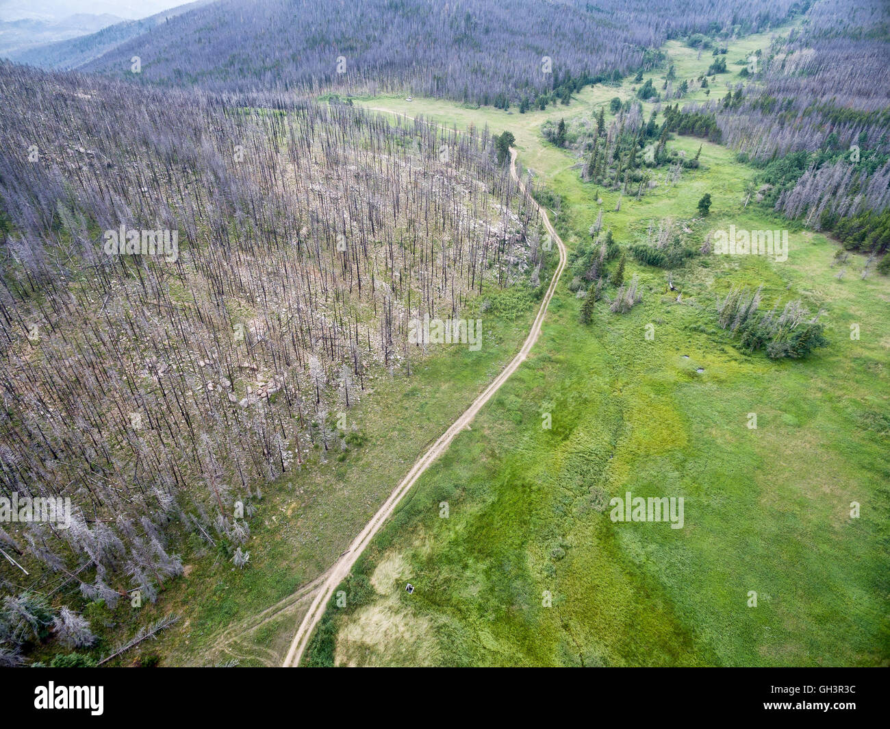Old flowers hi-res stock photography and images - Alamy