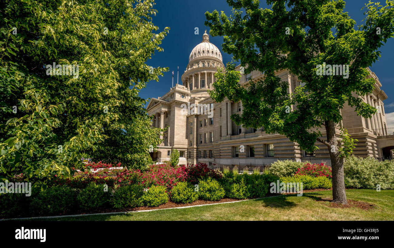 Flower capital hi-res stock photography and images - Alamy