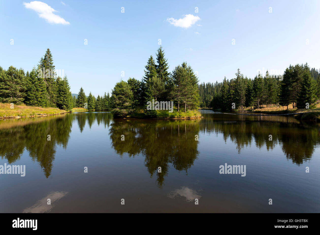 Beautiful forest reflecting on calm hi-res stock photography and images ...