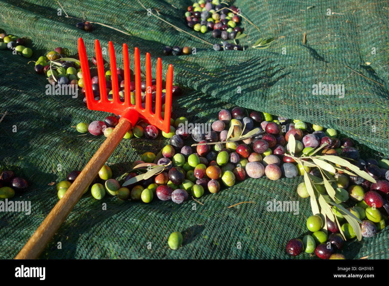Hand rake hi-res stock photography and images - Alamy
