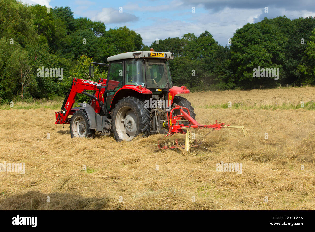 Massey Ferguson 956 Tractor Rowing up a Hay Crop with a Mesko-Rol Z275 ...