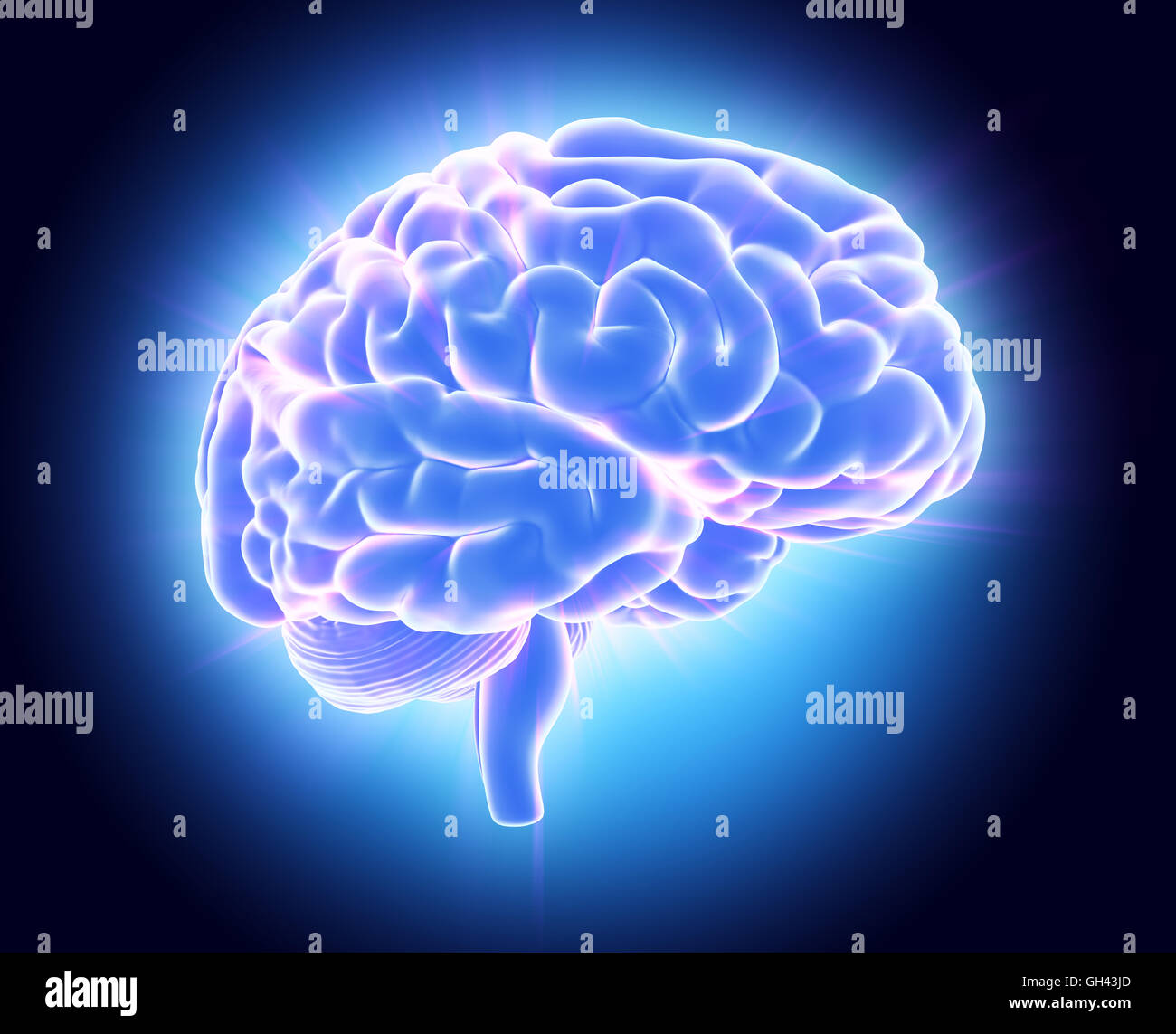 3D illustration of bright blue brain, anatomy and medical concept Stock ...