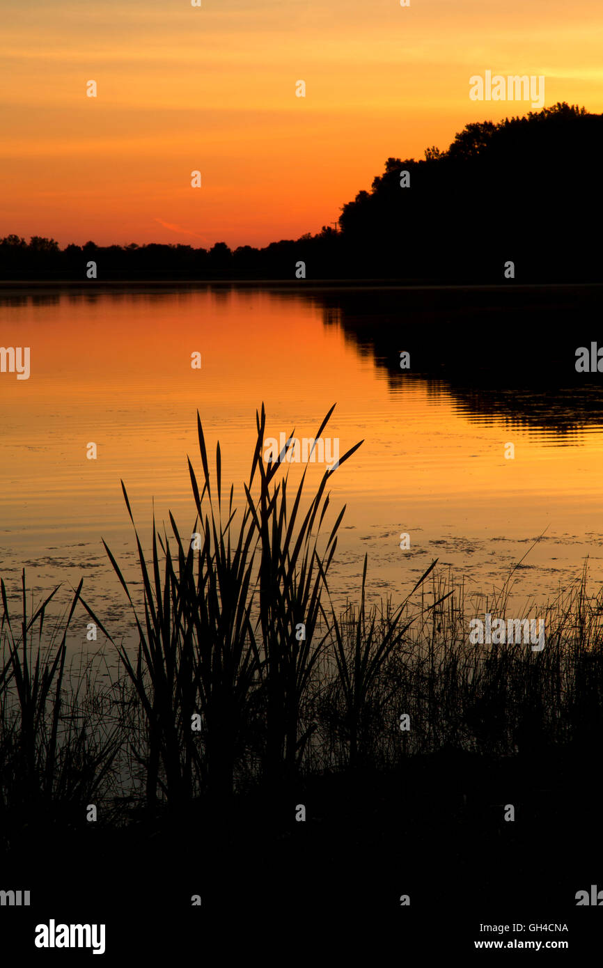 Batterson Park Pond sunrise with cattail, Batterson Park Pond State ...
