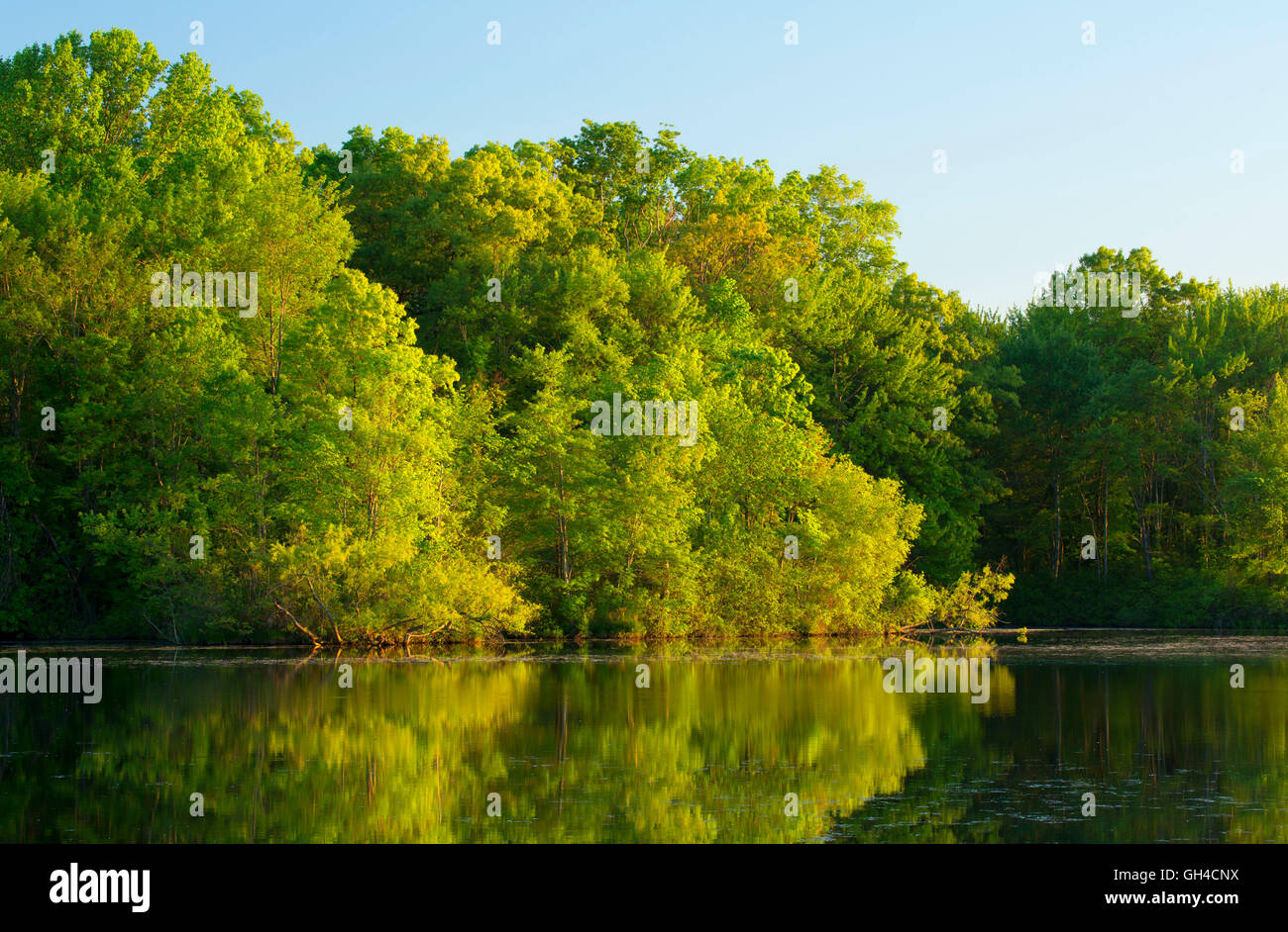 Batterson Park Pond, Batterson Park Pond State Boat Launch, New Britain ...
