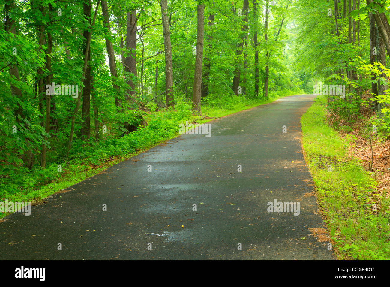 Farmington Canal Heritage Trail, Farmington, Connecticut Stock Photo ...
