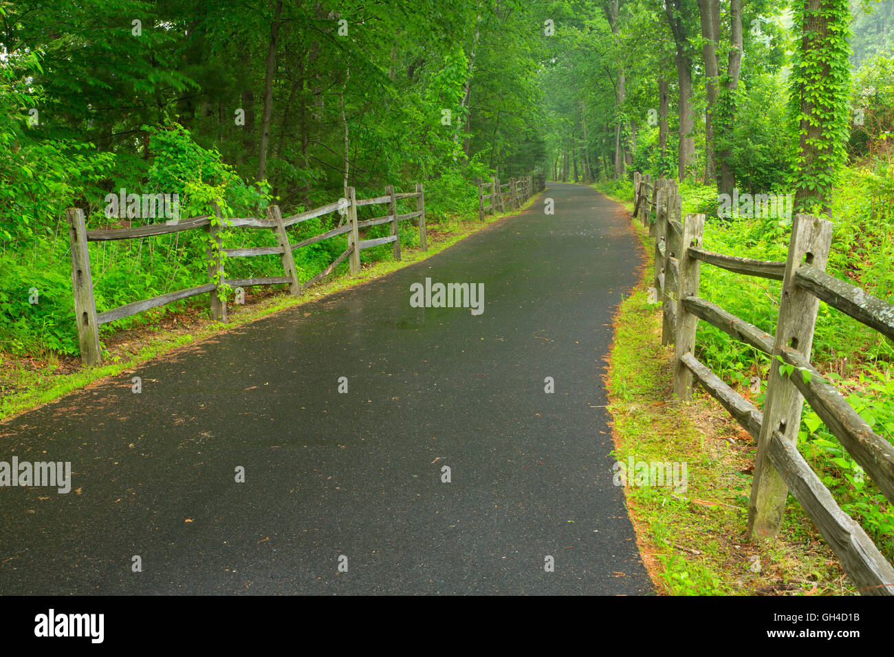 Farmington canal heritage trail hi-res stock photography and images - Alamy