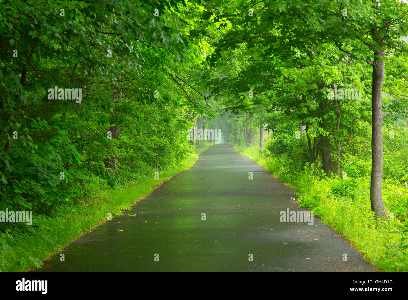 Farmington Canal Heritage Trail, Farmington, Connecticut Stock Photo ...