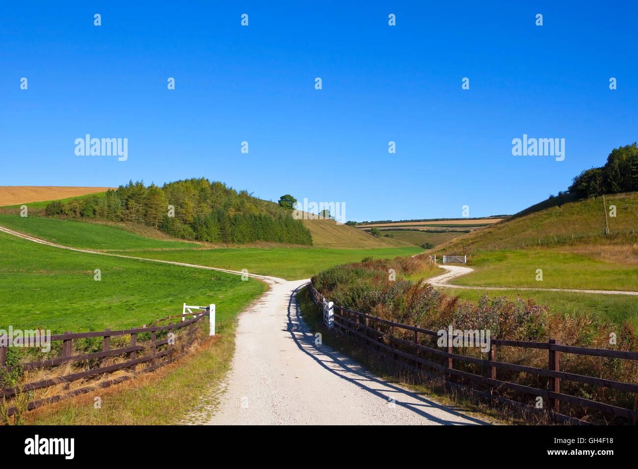 A white limestone farm track winding through green meadows and ...