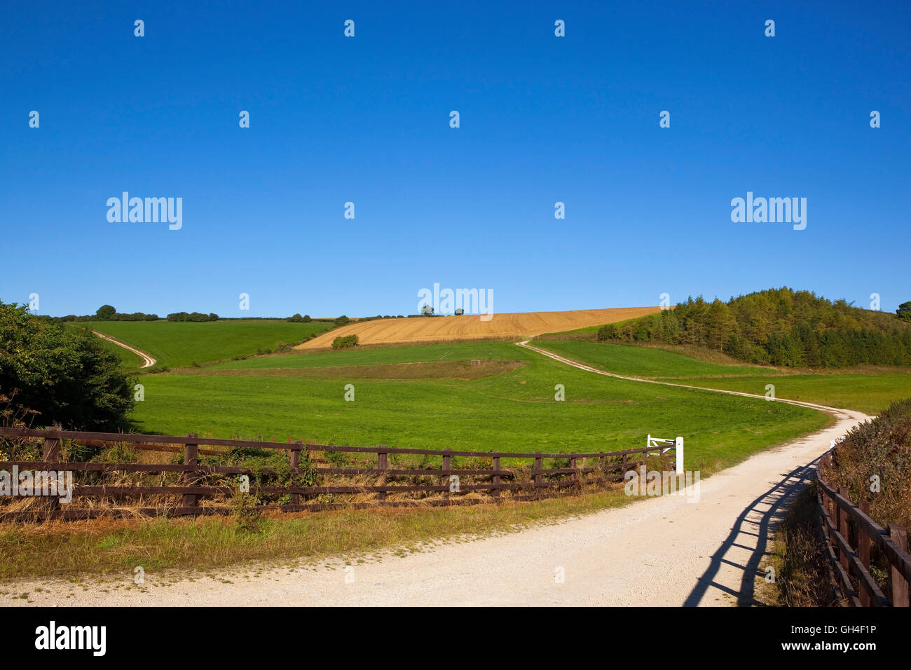 A white limestone farm track through green meadows and patchwork ...