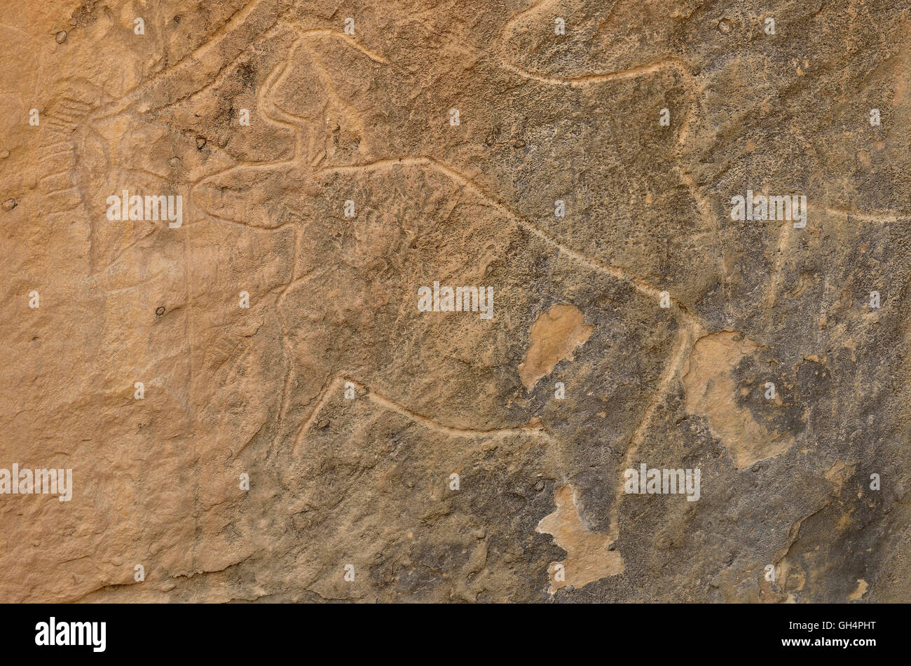 Bullocks harbour hi-res stock photography and images - Alamy