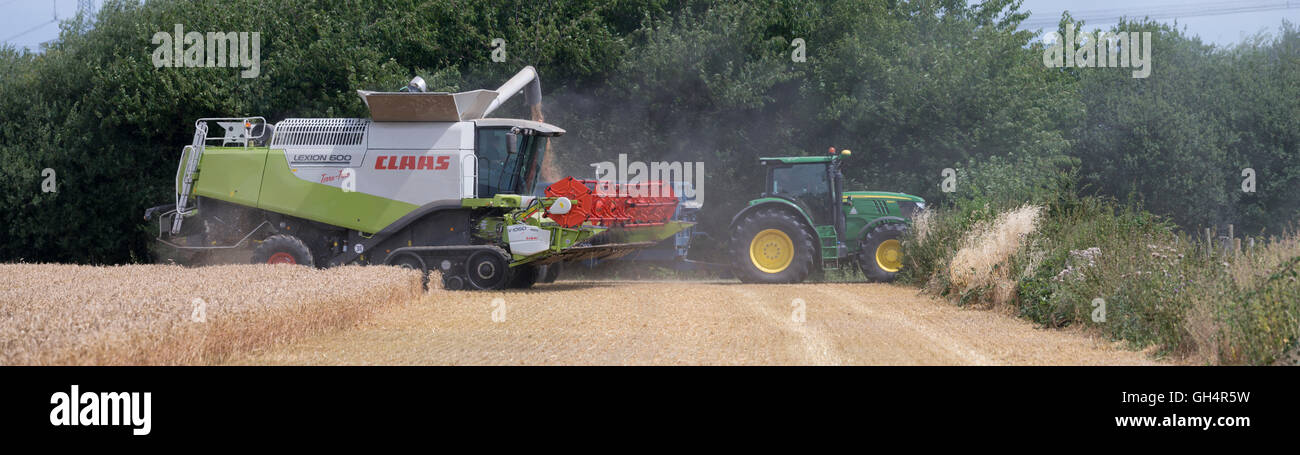 Off, loading, the, Harvester, wheat, load, onto the, awaiting, tractor ...