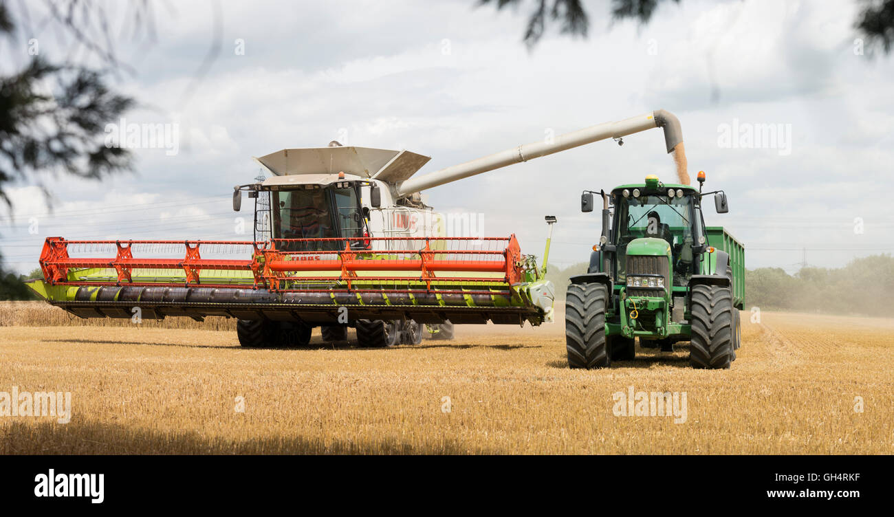 Off, loading, the, Harvester, wheat, load, onto the, awaiting, tractor ...