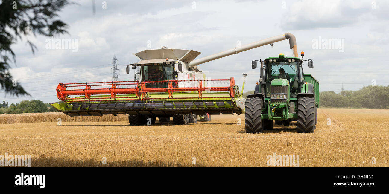 Harvester unloads wheat grain on hi-res stock photography and images ...