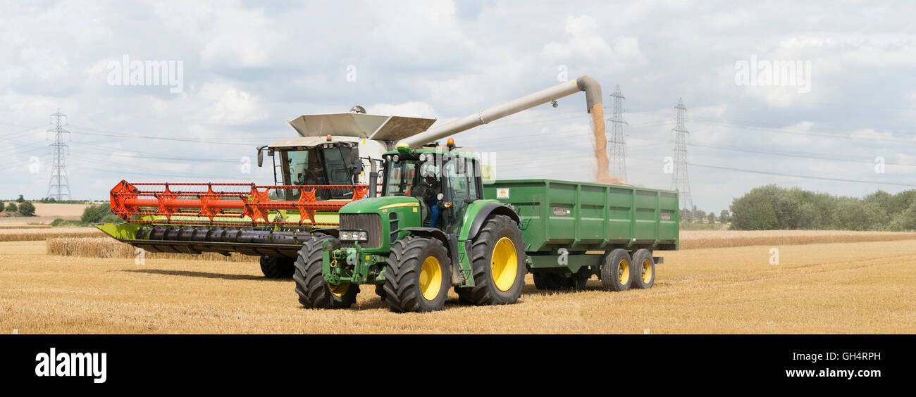 Off, loading, the, Harvester, wheat, load, onto the, awaiting, tractor ...