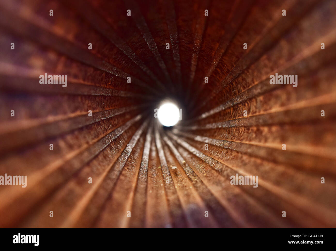 muzzle from inside a cannon exposed in Germany Stock Photo - Alamy