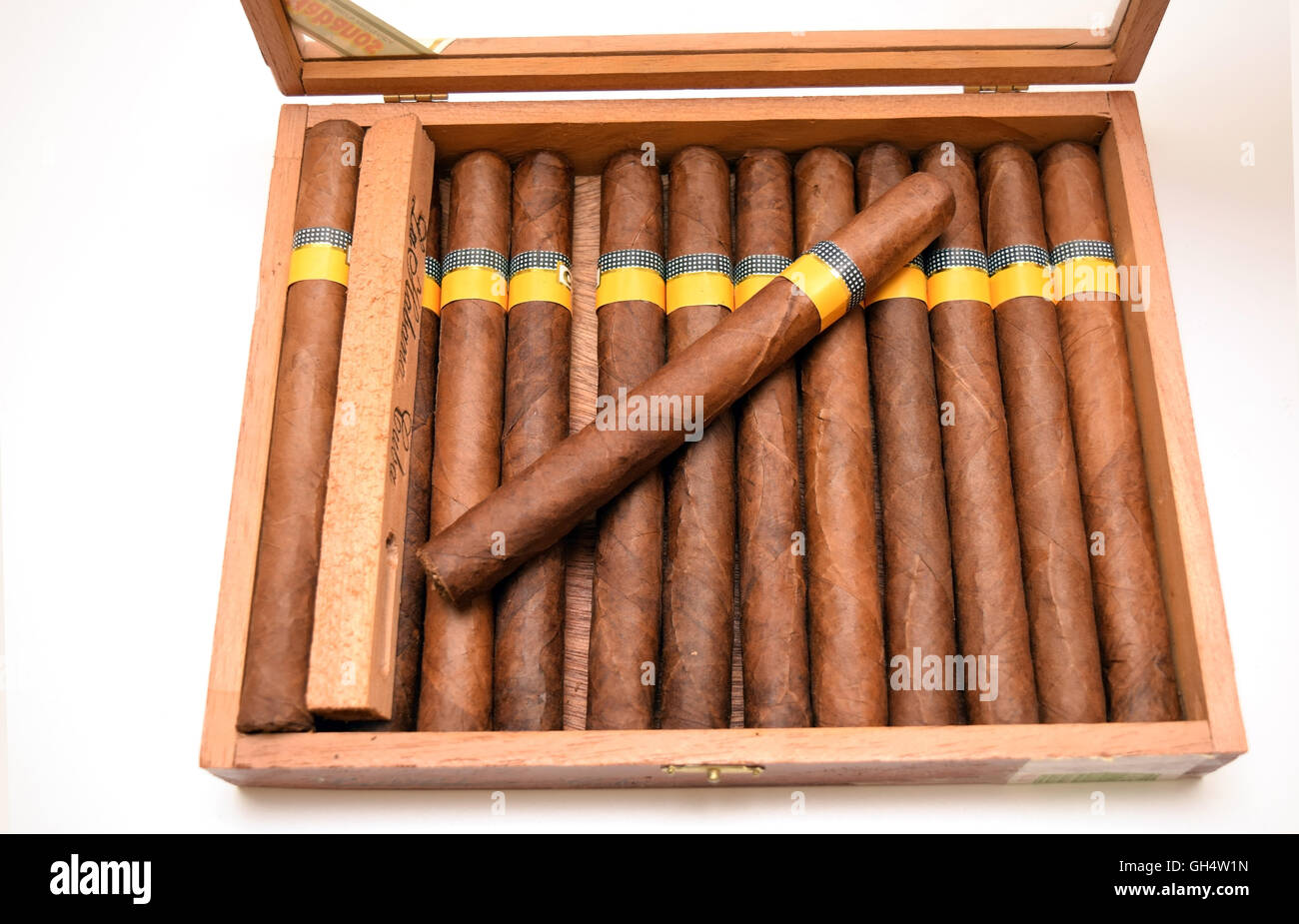 rolled cigars in the humidor isolated on white background Stock Photo ...