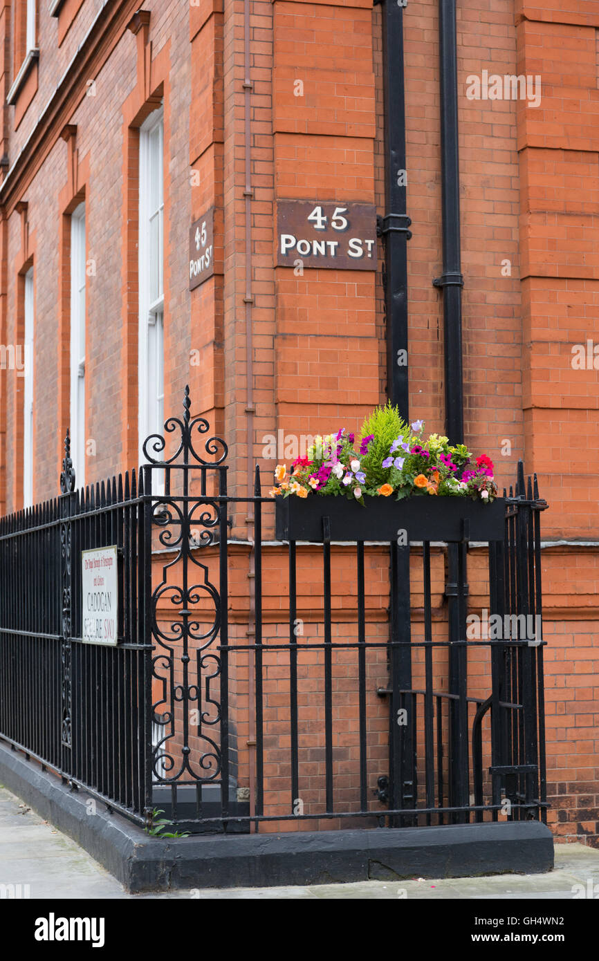 Cadogan Square and Pont Street Chelsea SW1 Stock Photo - Alamy
