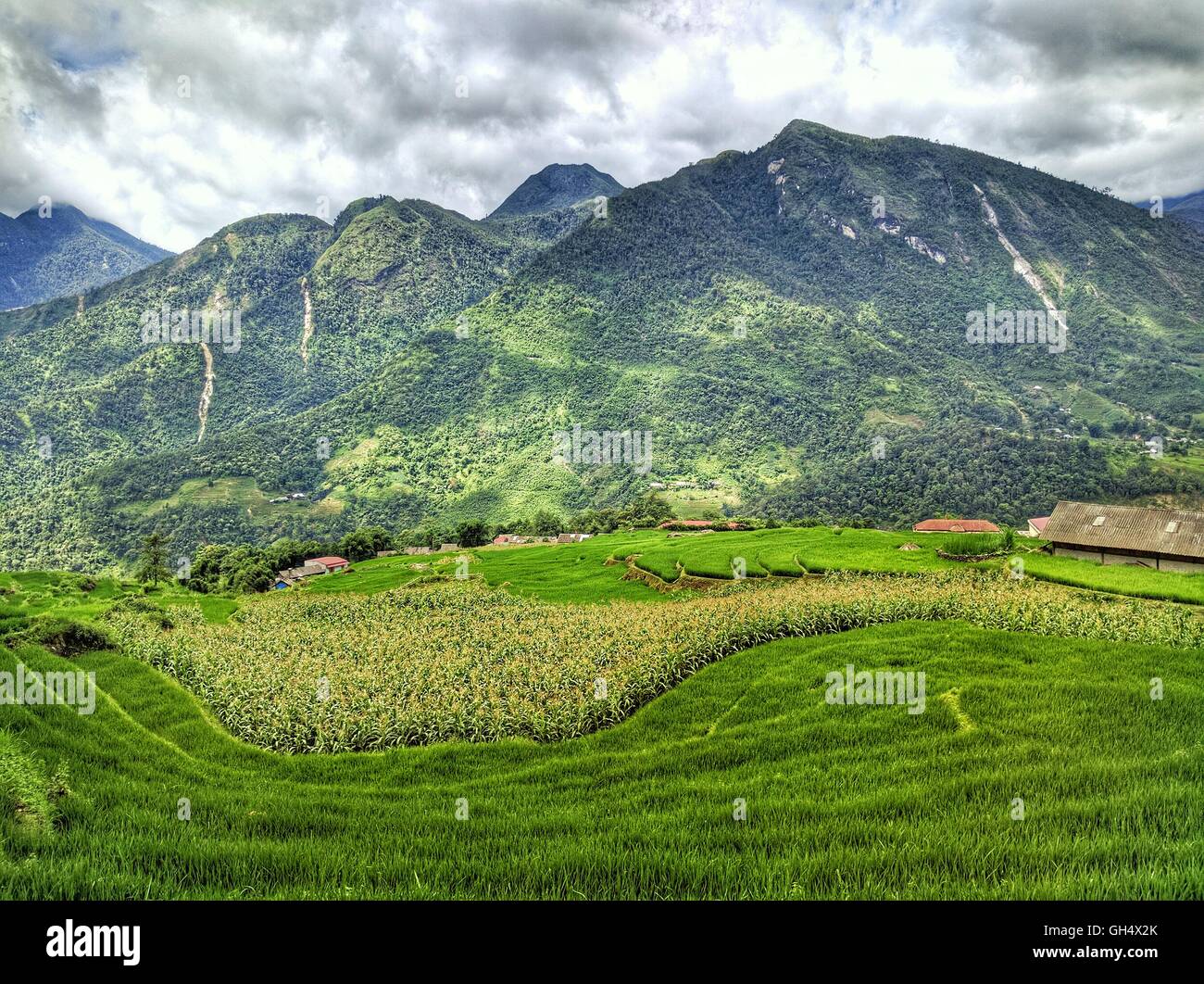 Sapa terrace hi-res stock photography and images - Alamy