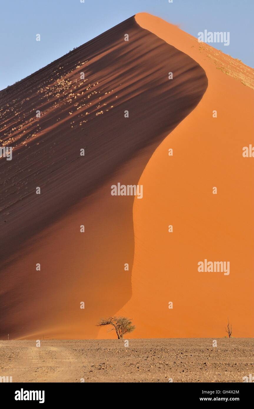 geography / travel, Namibia, dune in the afternoon light near ...